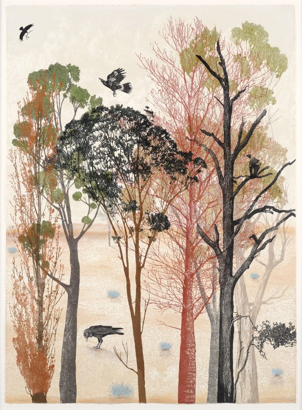 The Discovery - Messums: Org