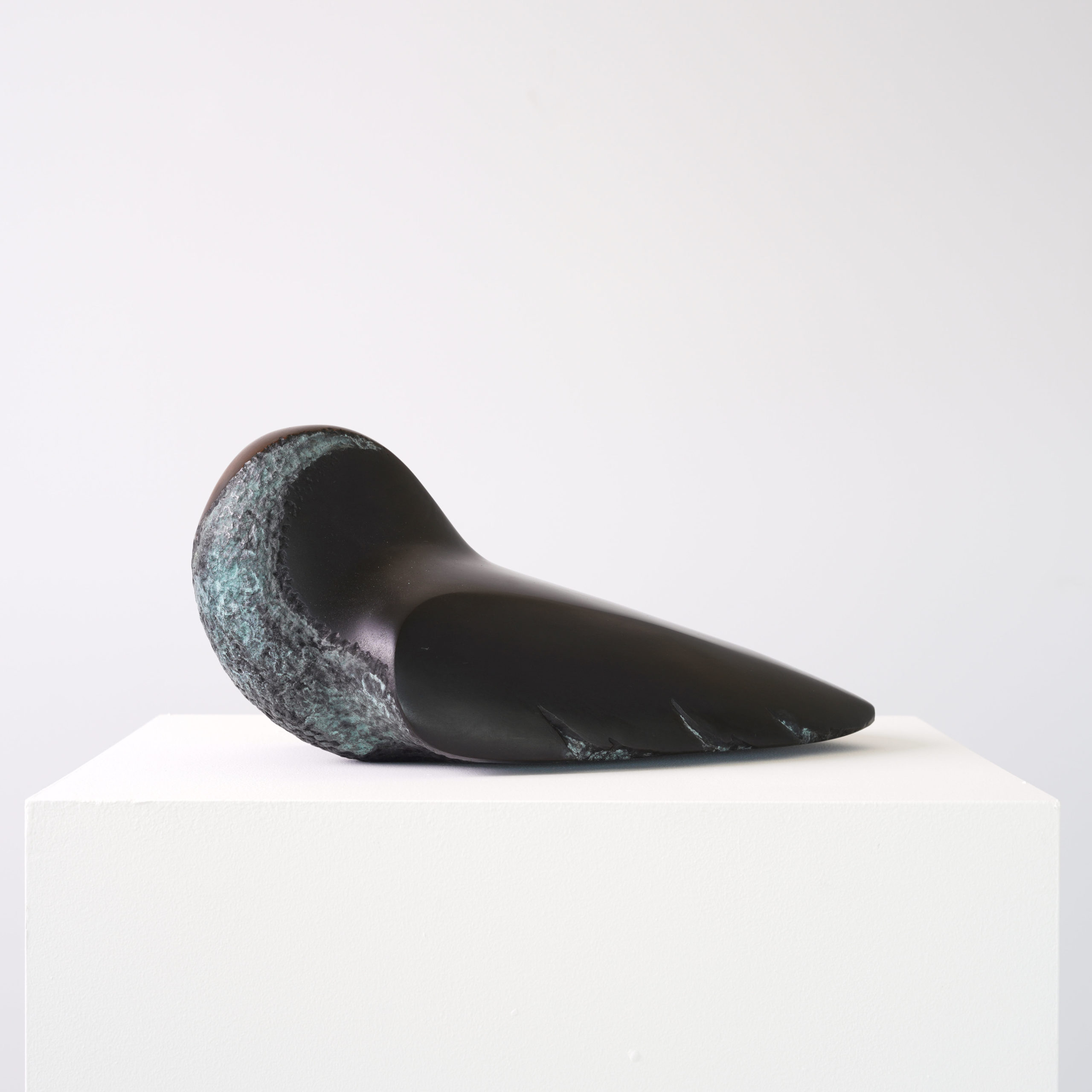 Nesting Bird - Messums: Org