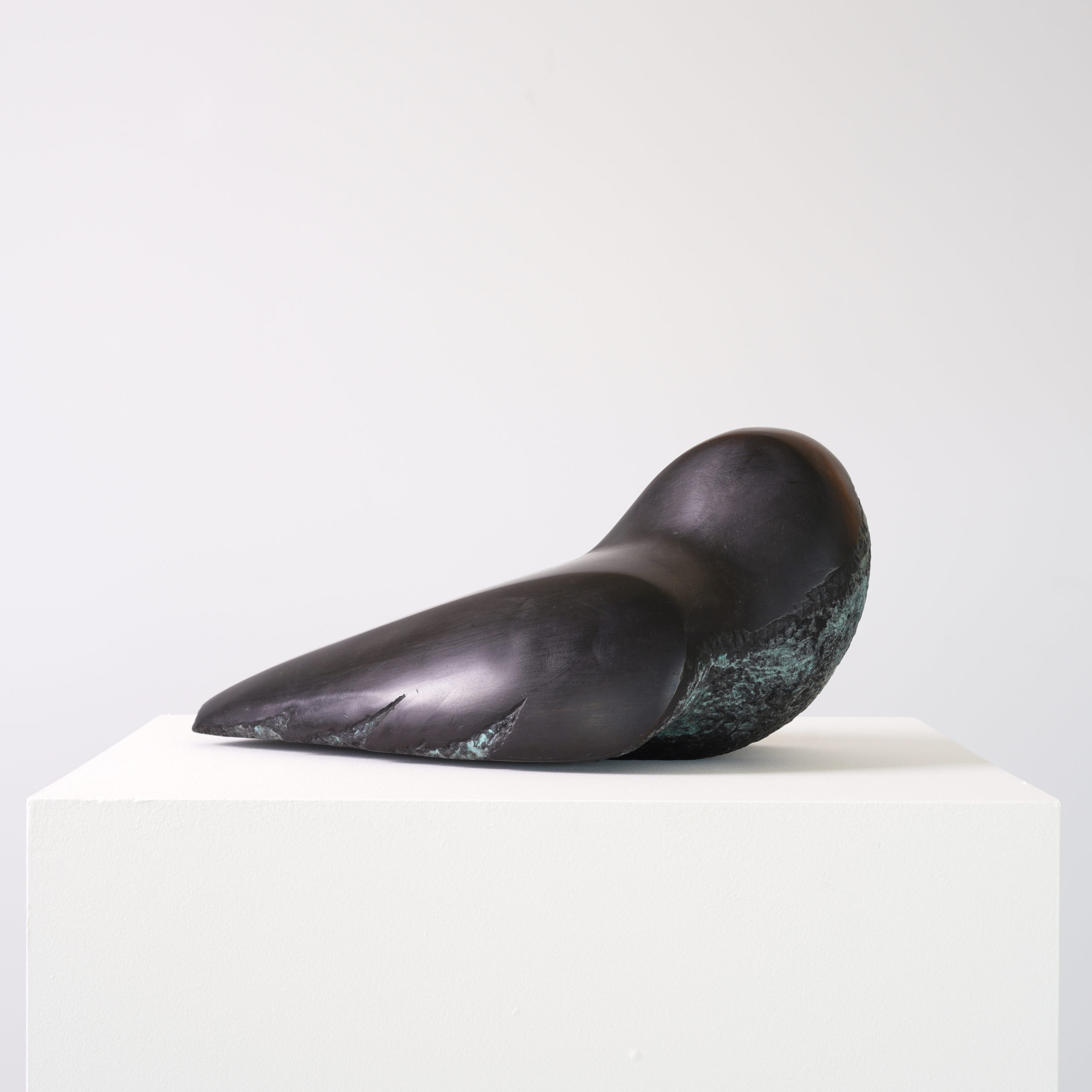 Nesting Bird - Messums: Org