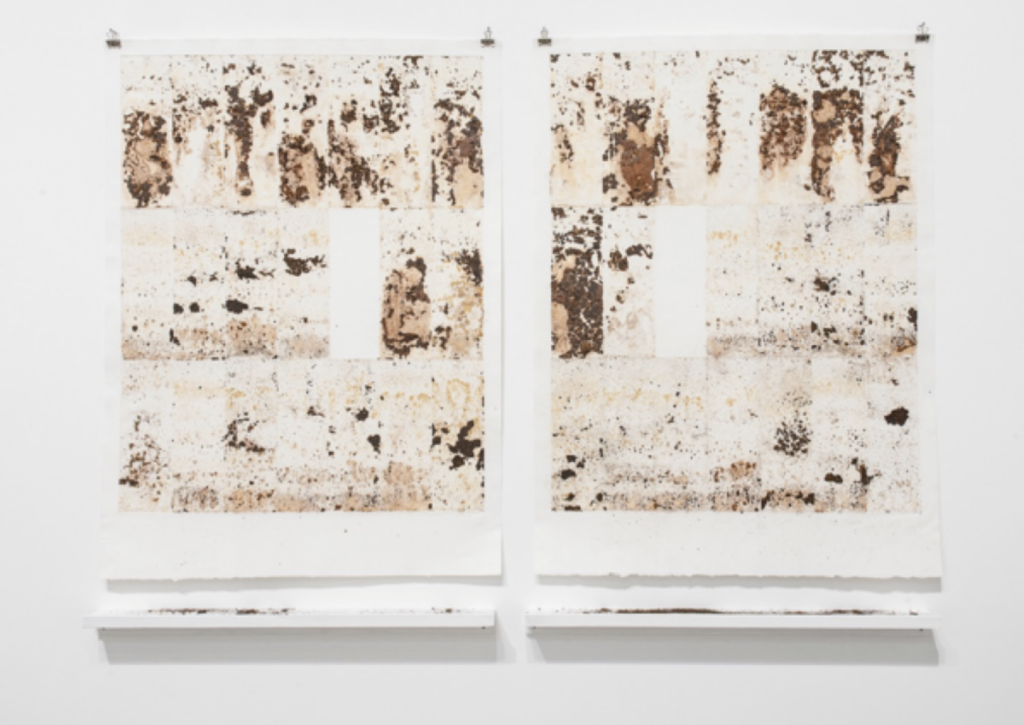 Trace - Messums: Org