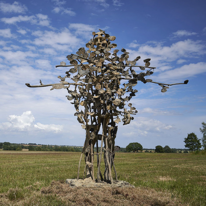 Shimmer - Messums: Org