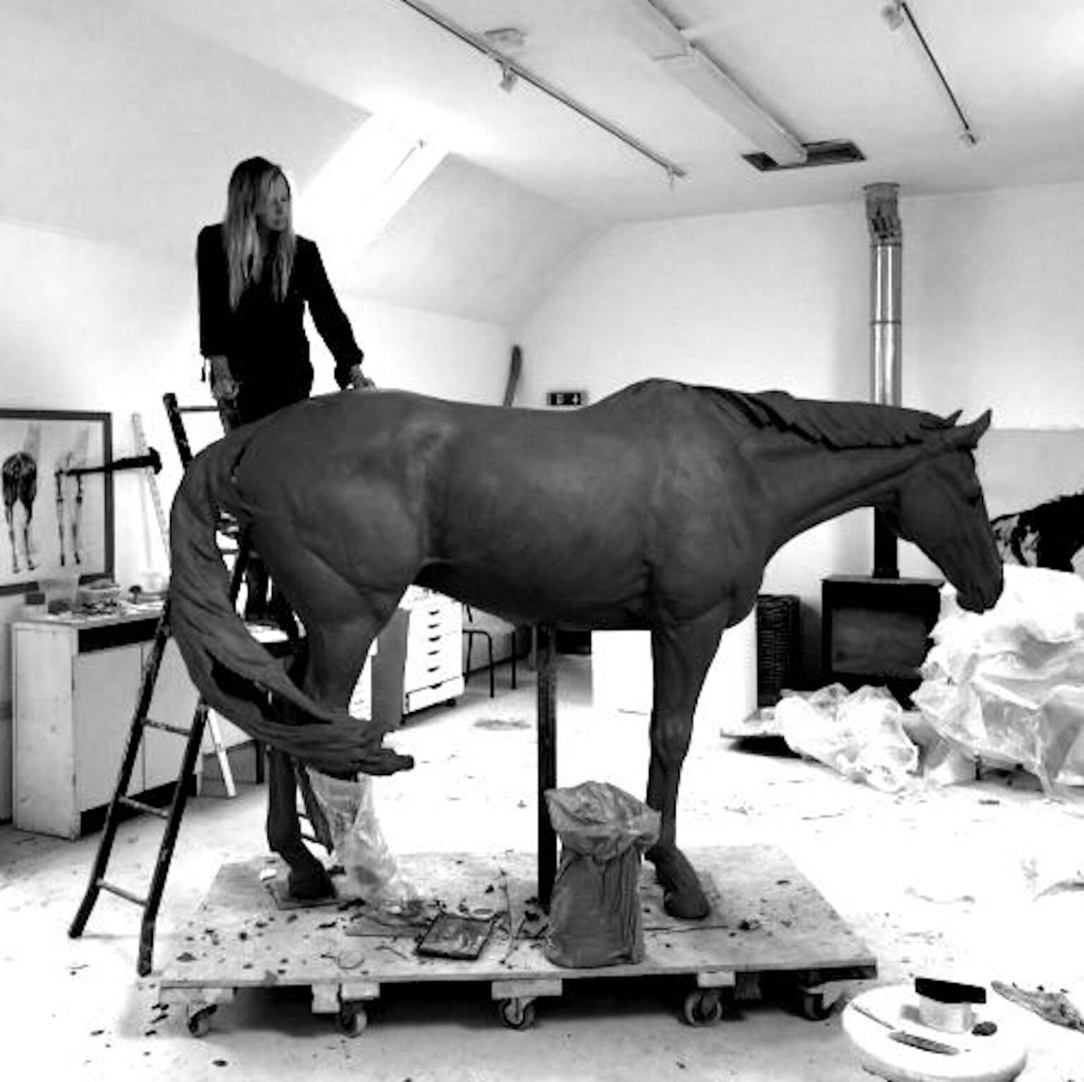 Frippy Jameson - Featured Artists - Messums Org