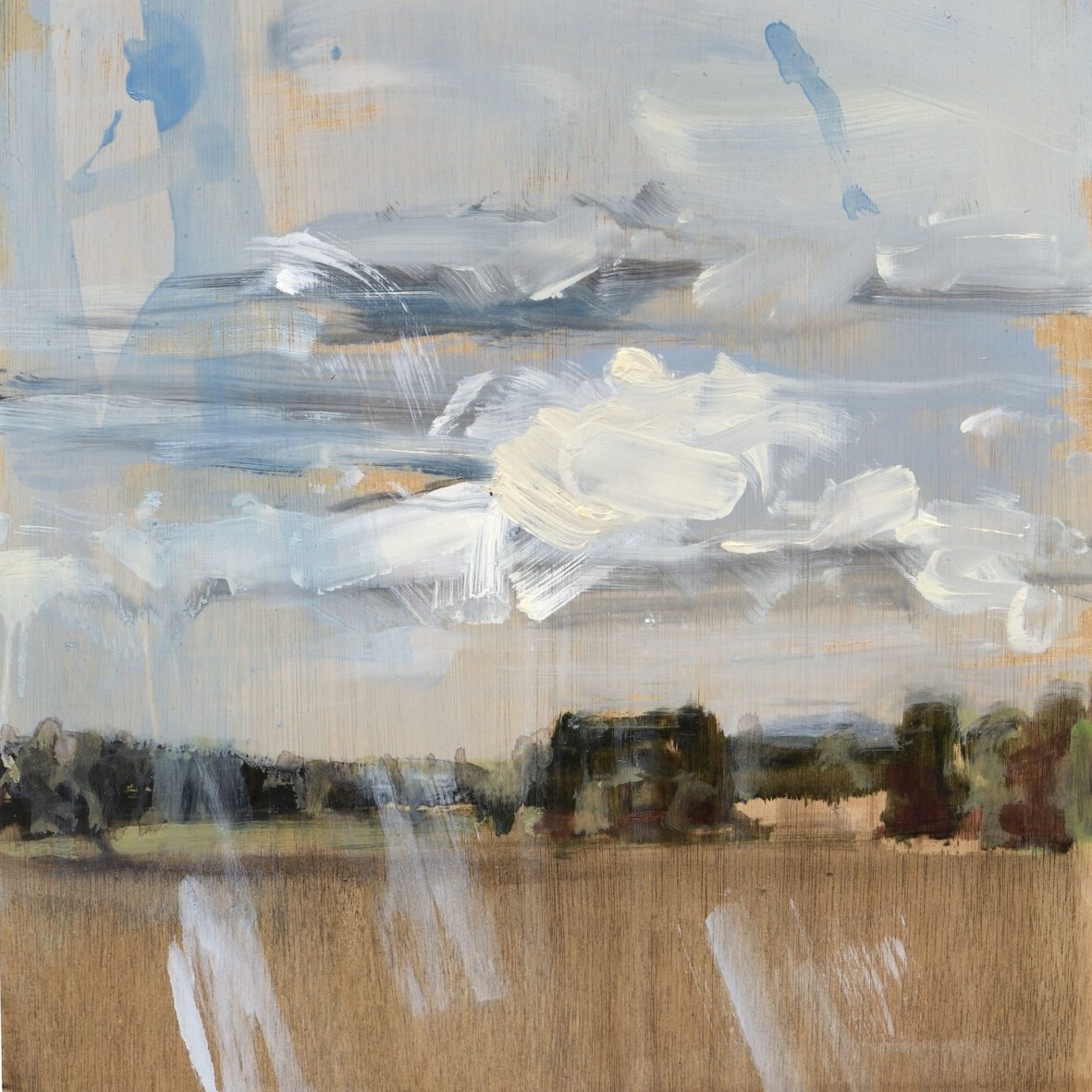 Emerging Landscape Painting Today - Messums Org