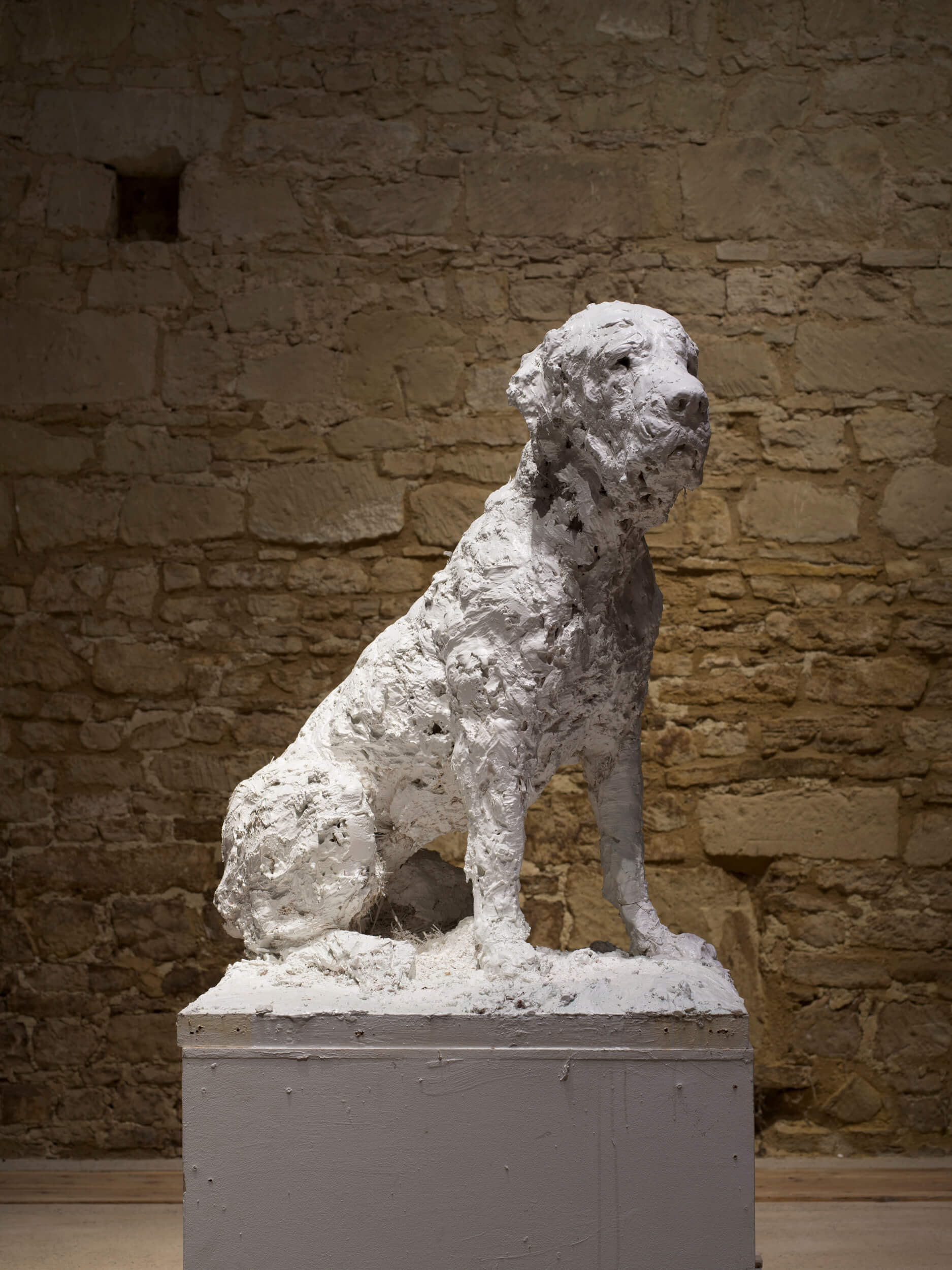 Big Dog - Messums: Org