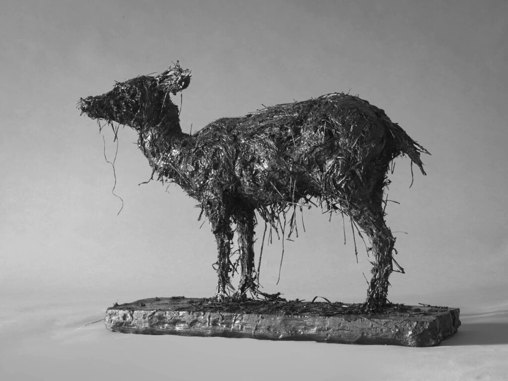 Featured Artists - Messums Org