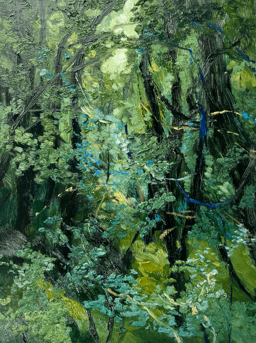 Kepler Track - Fiordland I - Messums: Org