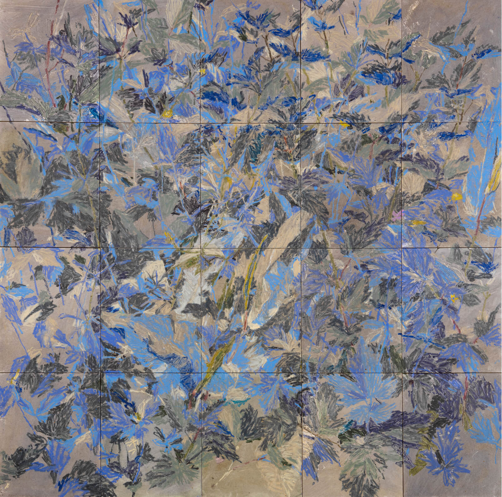 Summers Growth Kept Me - Messums: Org